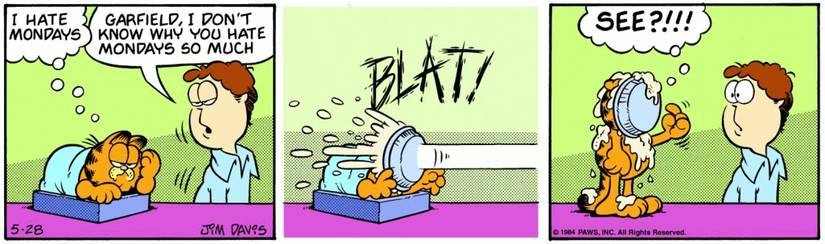 10 Funniest Garfield Comics That Just Turned 40 (In May 2024)