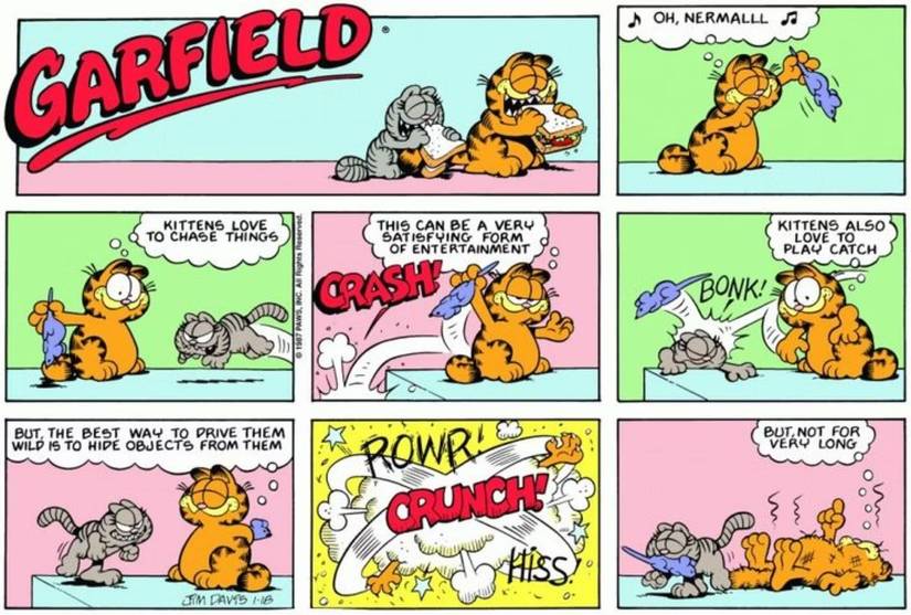 10 Funniest Garfield Comics Where Garfield Loses