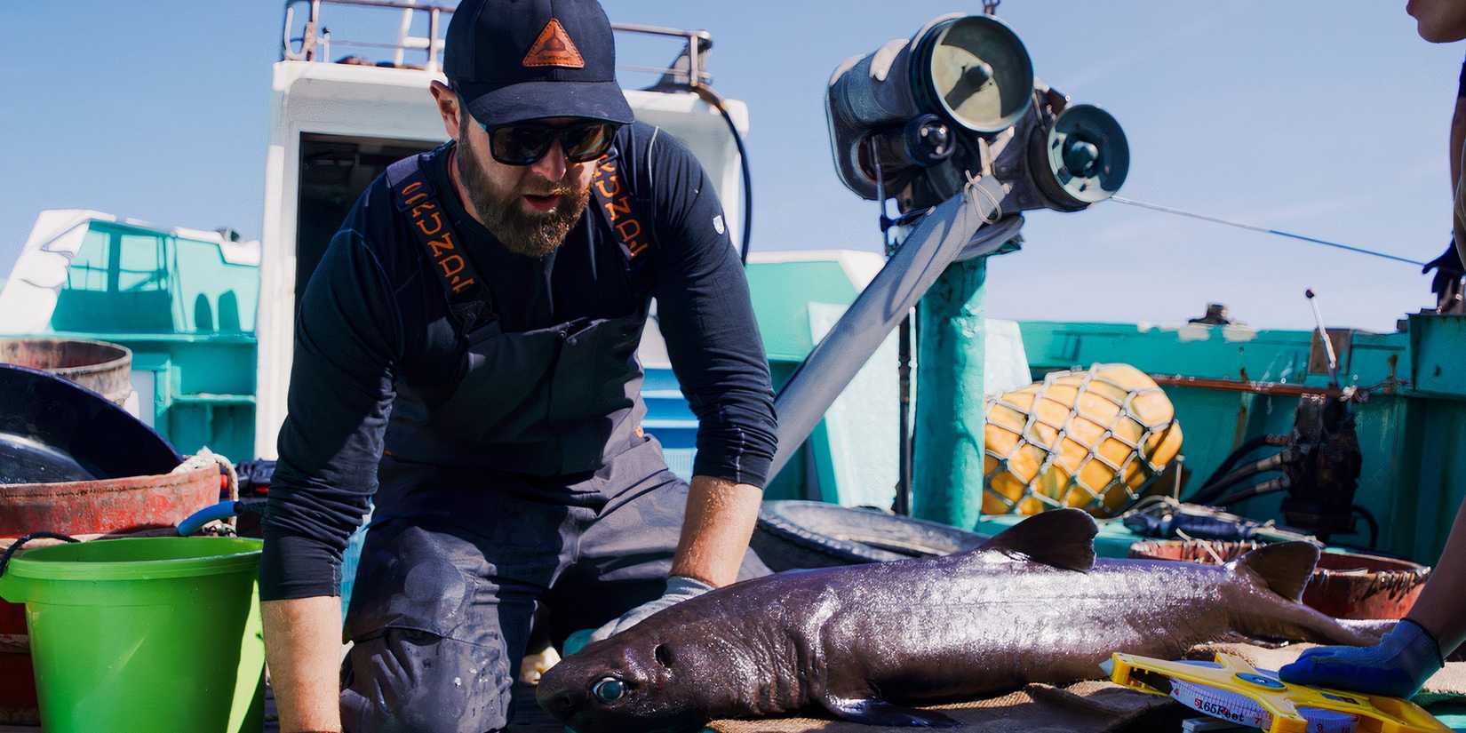 Forrest Galante Talks Searching For Elusive Animals In Shark Week’s ...