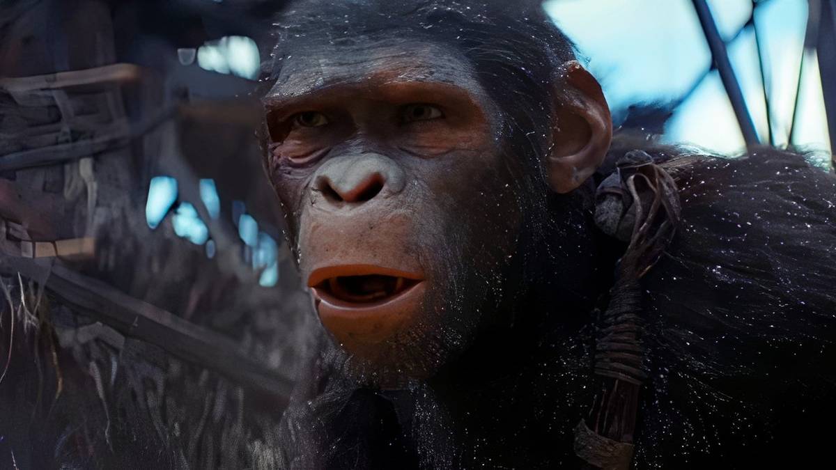 Planet Of The Apes Domestic Box Office: Kingdom Becomes 4th Best Movie ...