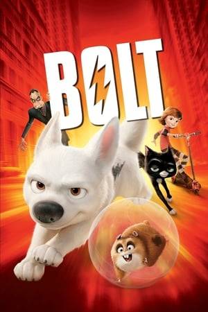 Bolt Summary, Trailer, Cast, Where to Watch and More