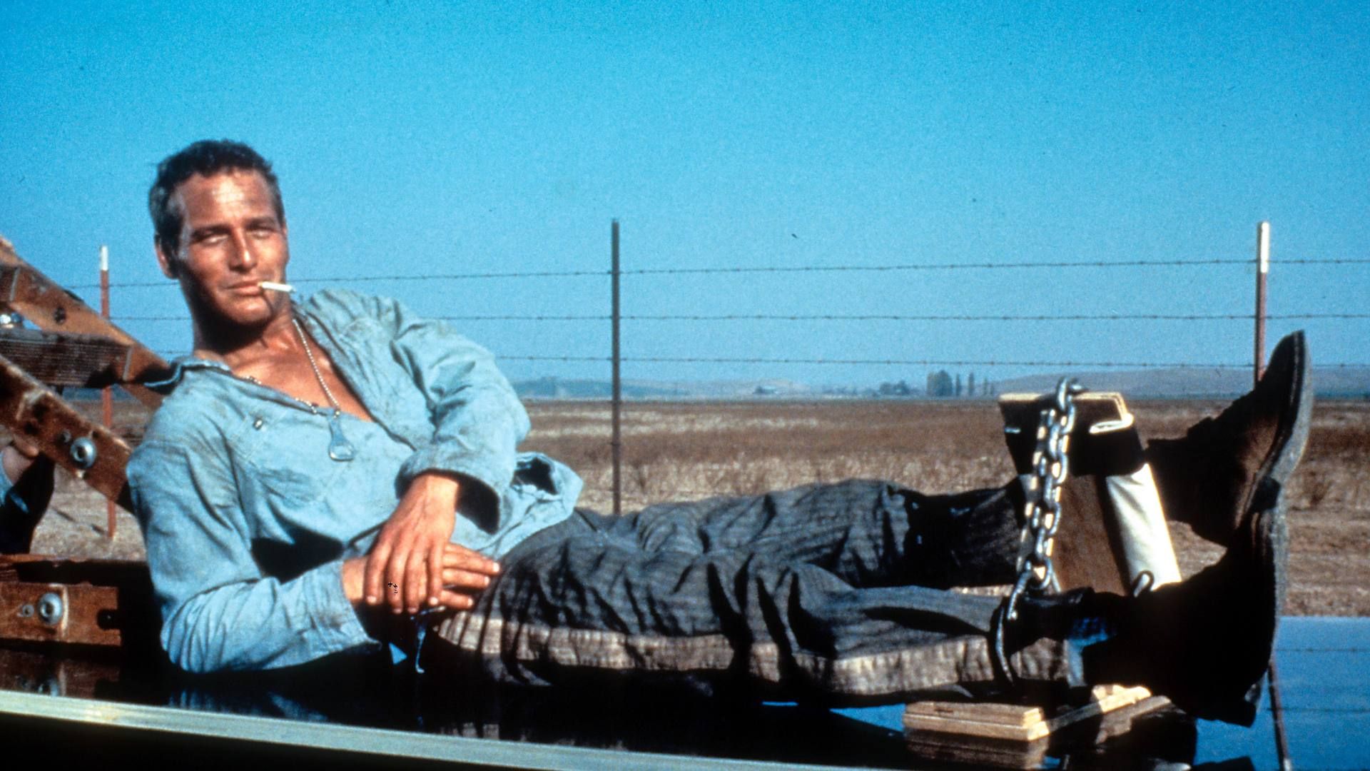 Cool Hand Luke Summary, Trailer, Cast, Where to Watch and More