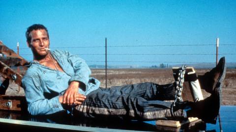 Cool Hand Luke Summary, Trailer, Cast, Where to Watch and More