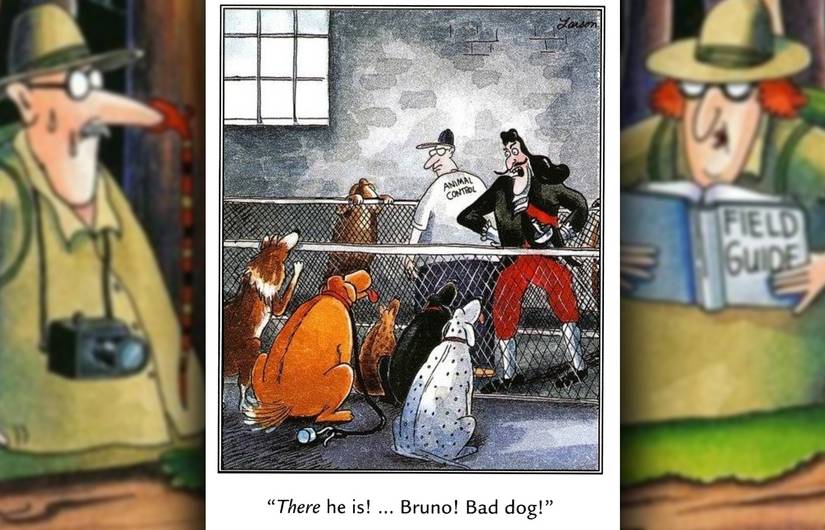 10 Funniest Far Side Comics Where Gary Larson Made Pirates Hilarious