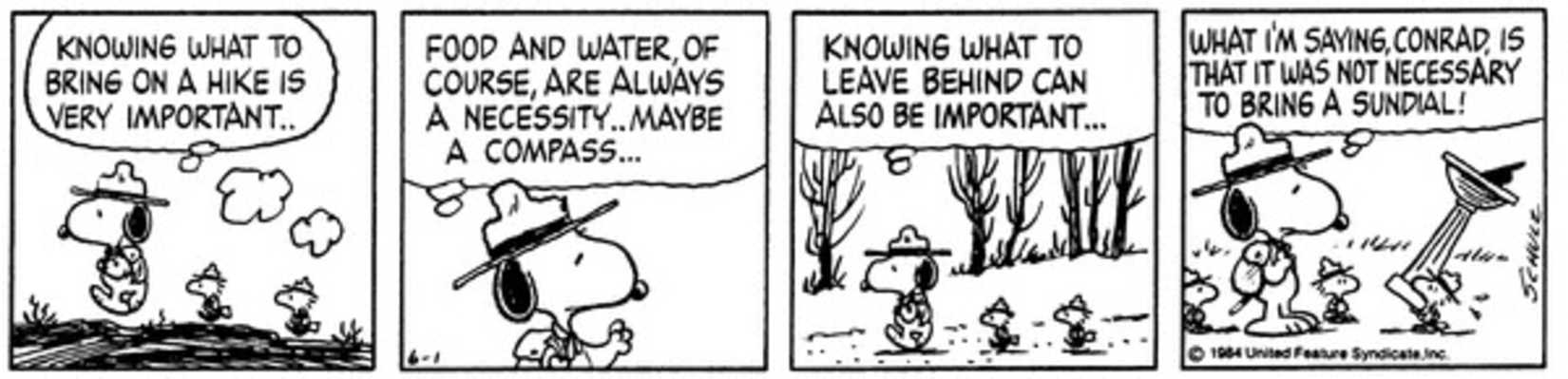10 Funniest Peanuts Comics That Just Turned 40 (In June 2024)