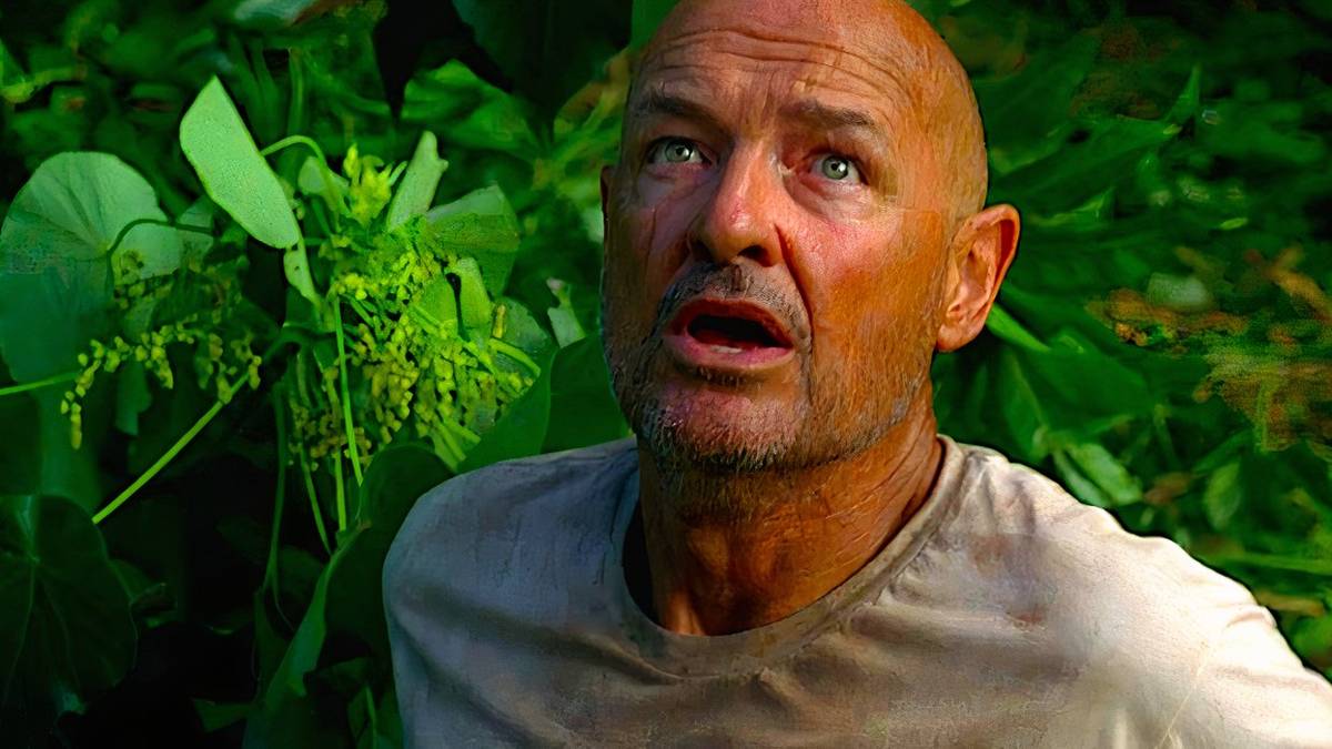 All 121 Lost Episodes Get Streaming Release Date On Netflix
