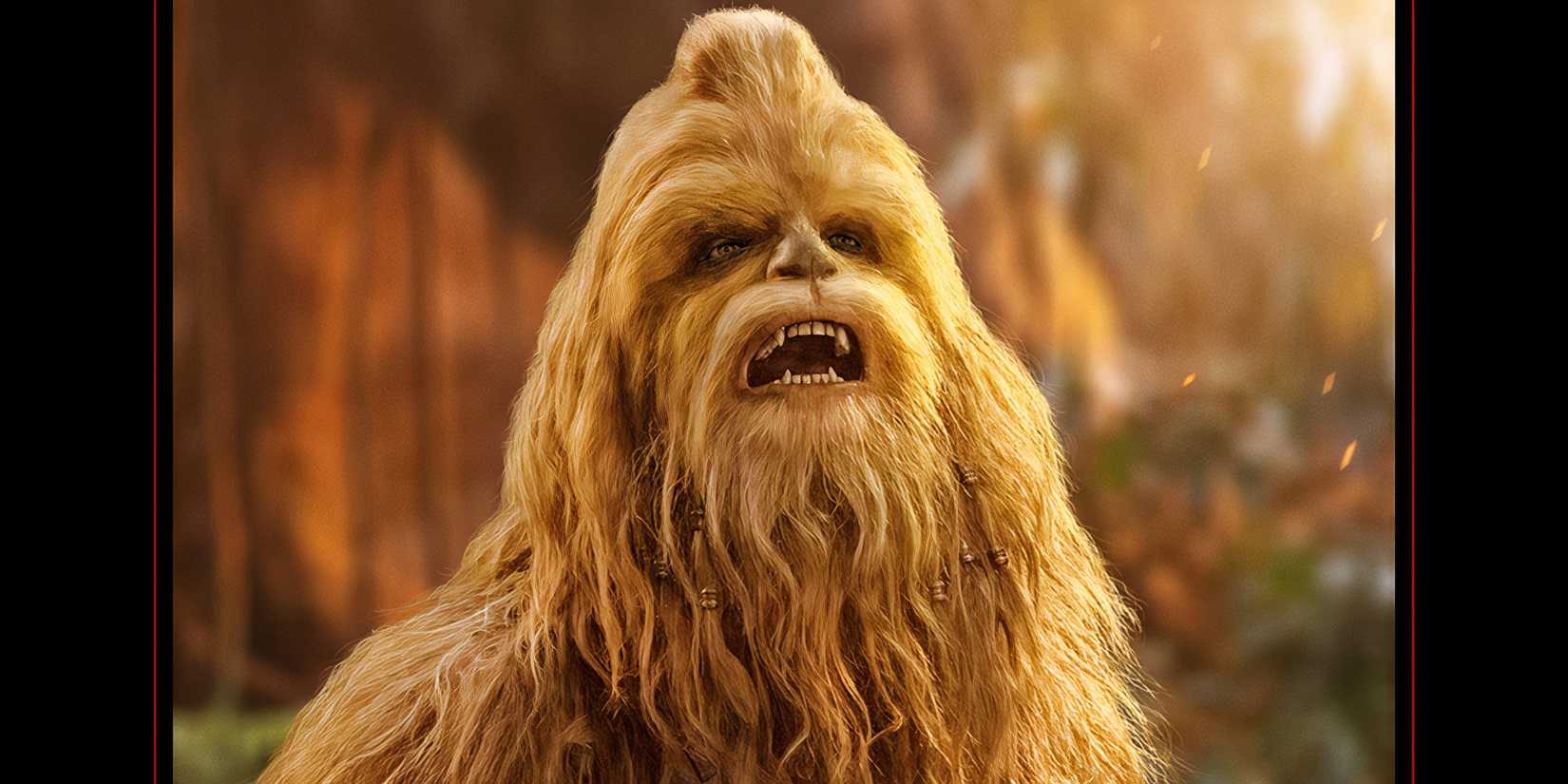 Star Wars: The Acolyte's Wookiee Jedi Explained: Who Is Kelnacca?