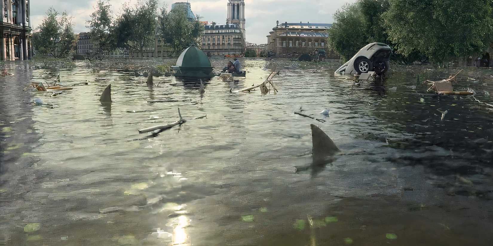Under Paris: Are There Really Sharks In The Seine?