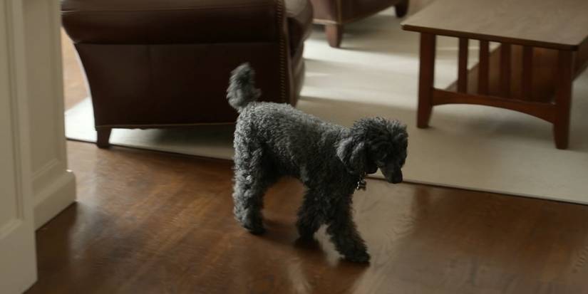 I Really Need Monk 2 To Happen After The Last Case Movie Introduced My New Favorite Character