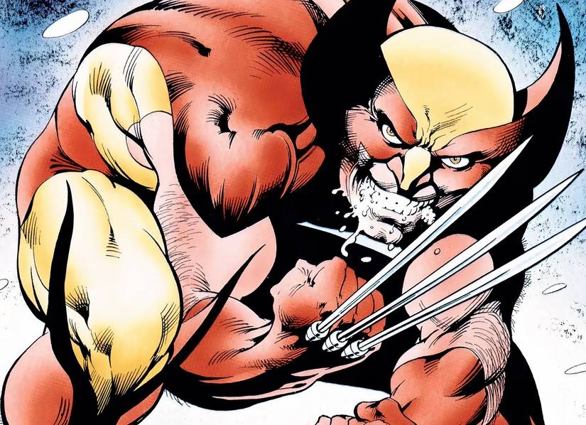 Wolverine Admits a Secret Drawback of His Adamantium He's Never ...