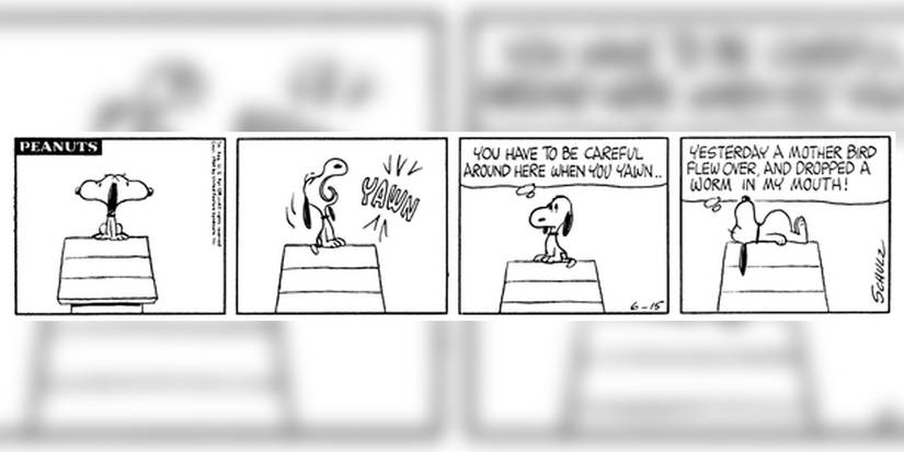 10 Funniest Peanuts Comics That Just Turned 60 (In June 2024)