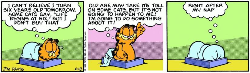 10 Funniest Garfield Comics That Just Turned 40 (In June 2024)