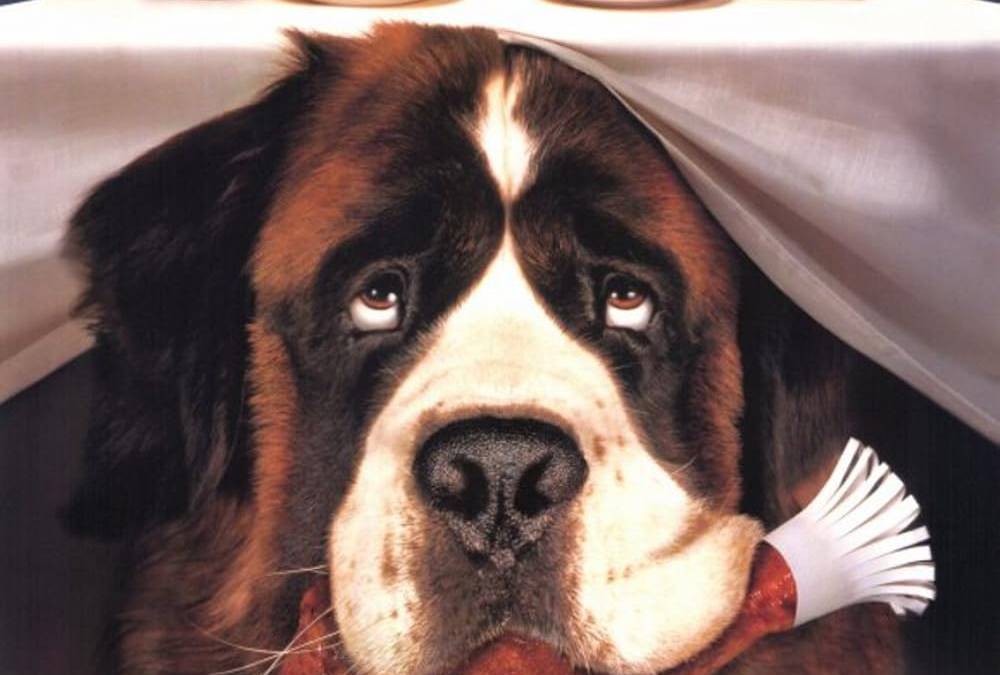 Beethoven Summary, Trailer, Cast, Where to Watch and More
