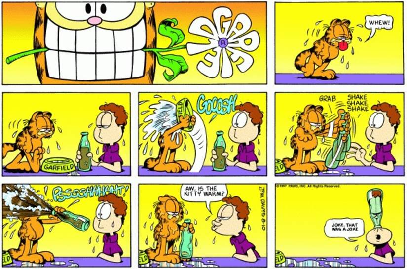 Garfield's 10 Best Comics About The Summer