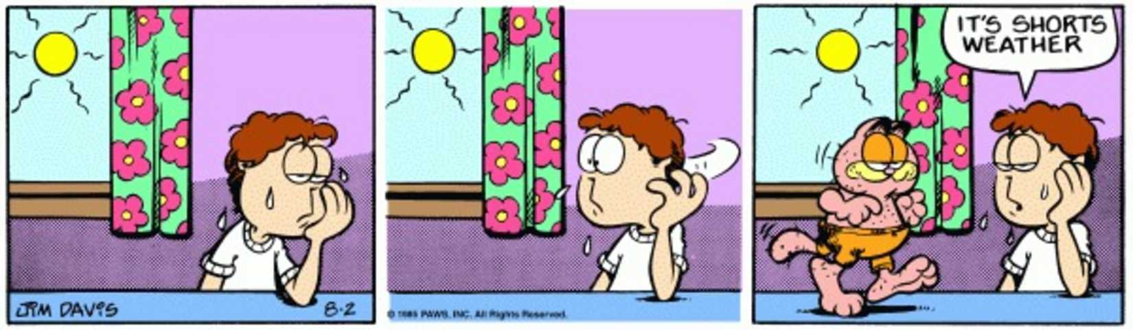 Garfield's 10 Best Comics About The Summer