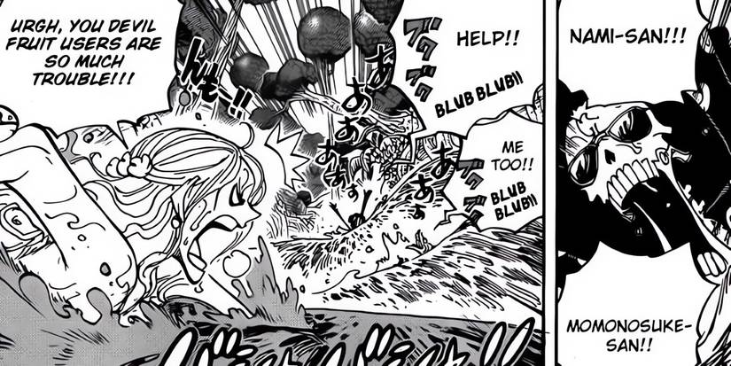 Brook's Devil Fruit Is Still a Complete Mystery to One Piece Fans