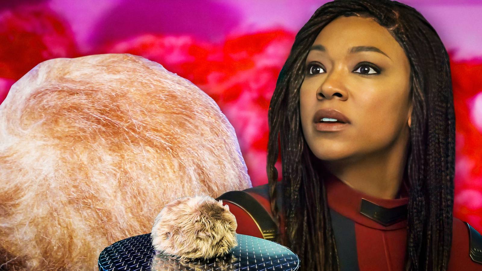Star Trek Reveals Why Tribbles Are No Longer A Threat In Discovery