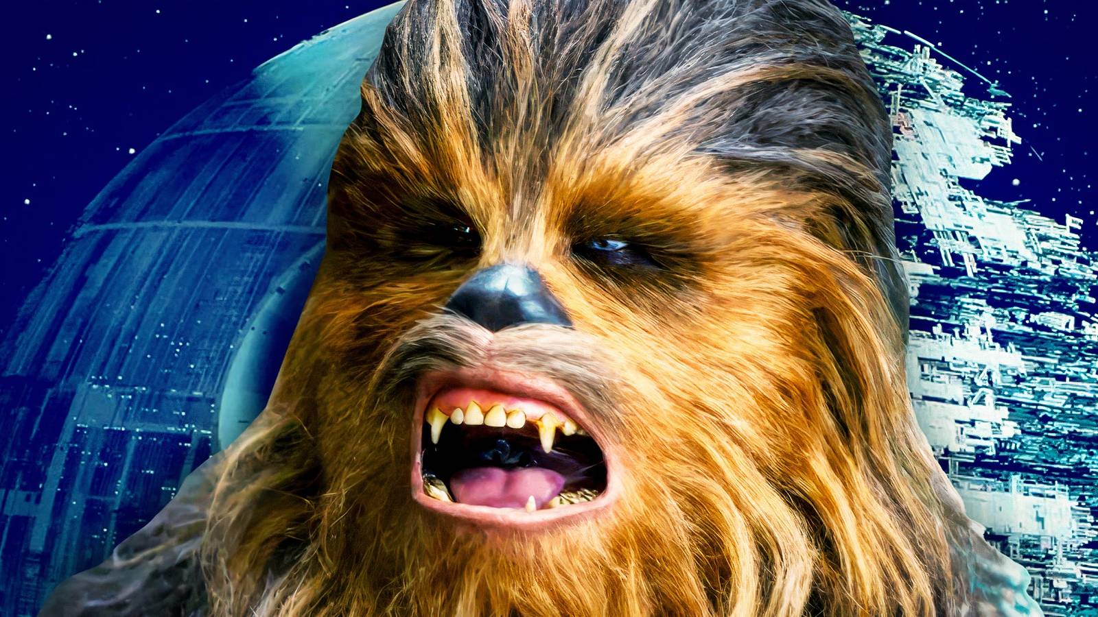 What's Going On With Wookieepedia, The Star Wars Wiki?