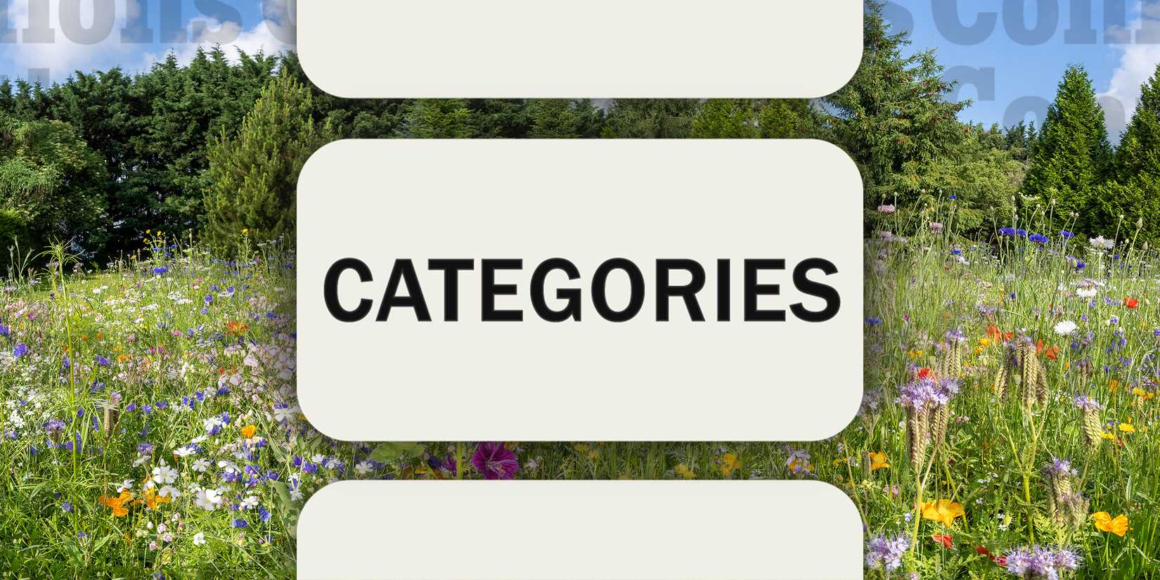 Today's Connections Hints & Answers For August 2, 2024 (Puzzle #417)