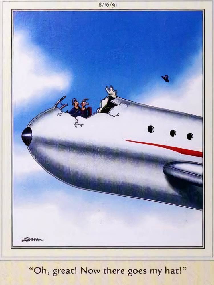 15 Hilarious Far Side Comics Featuring Airplanes