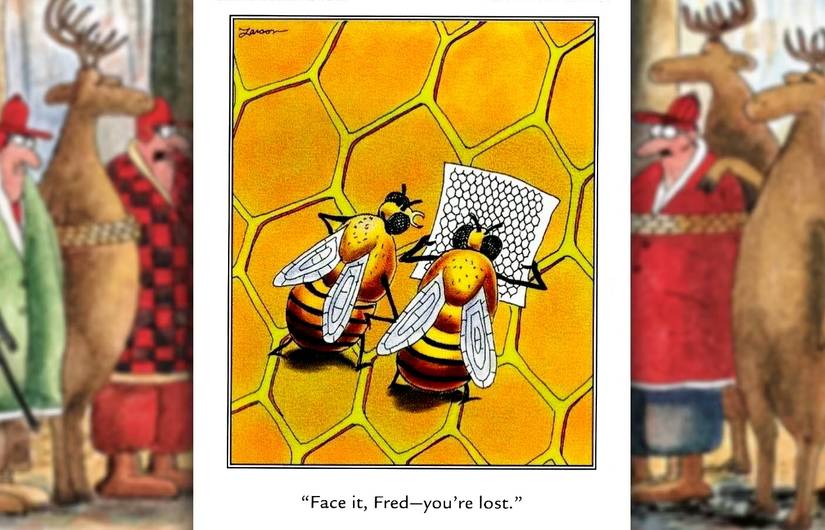 10 Funniest Far Side Comics That Just Turned 30 (In June 2024)