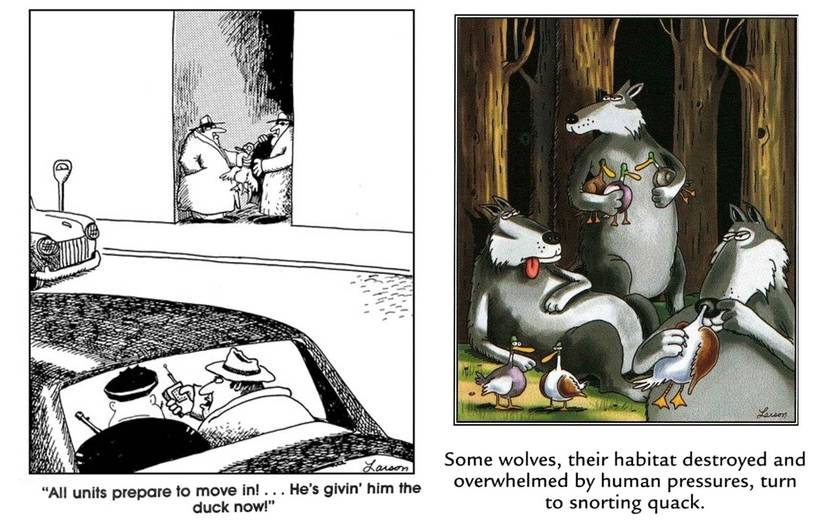 16 Funniest Far Side Comics Starring Gary Larson's Best Recurring ...
