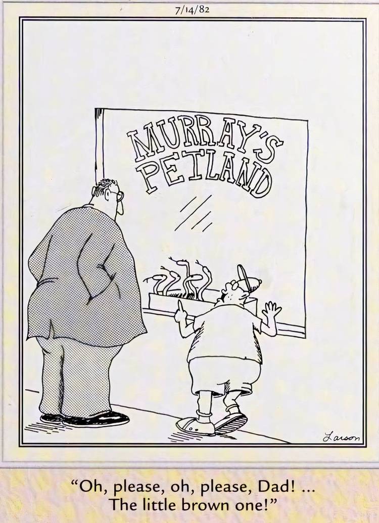 12 Far Side Comics From 1982 That Make Readers Go "What The?"