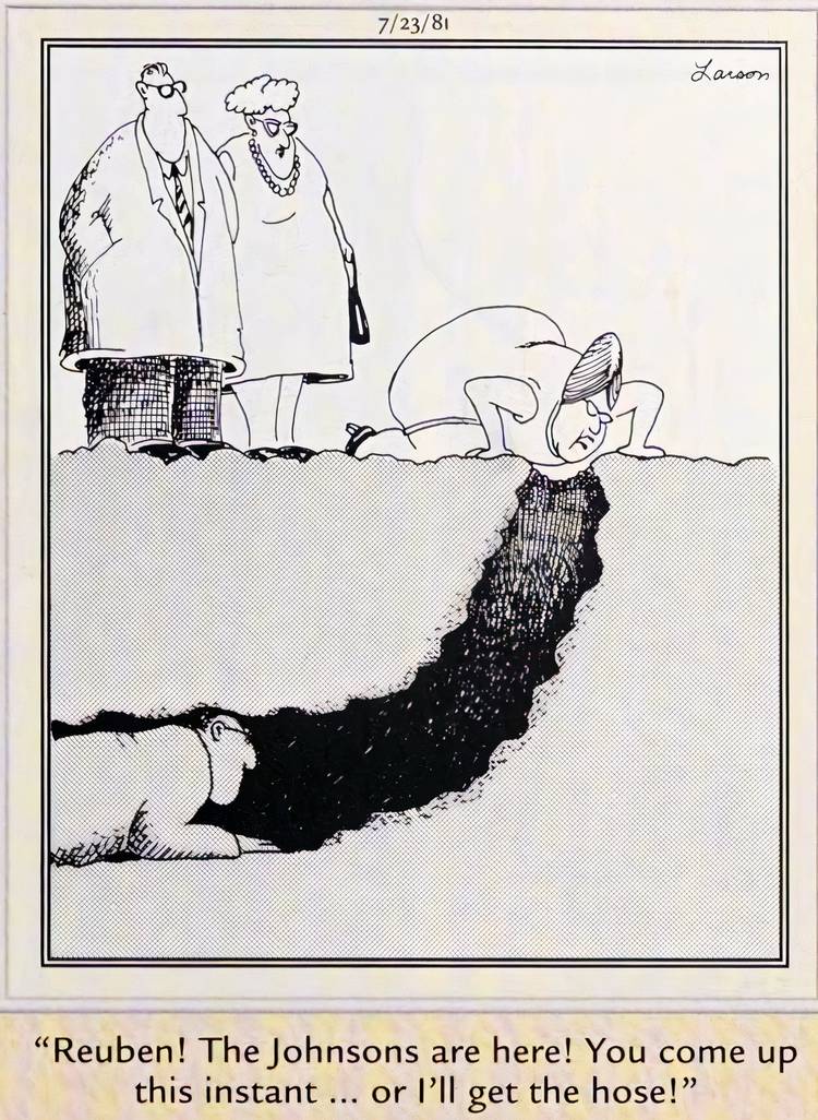 12 Far Side Comics From 1981 That Make Readers Go "What The?"