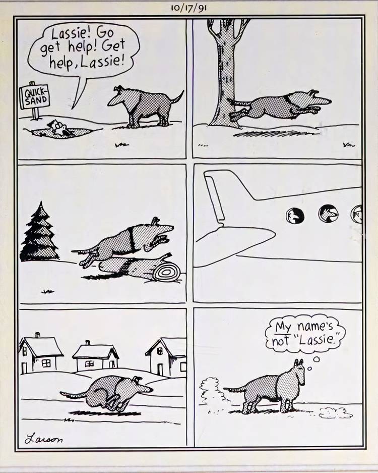 15 Hilarious Far Side Comics Featuring Airplanes
