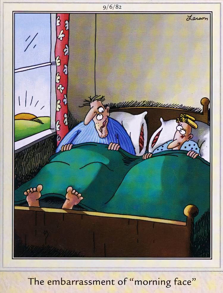12 Far Side Comics From 1982 That Make Readers Go "What The?"