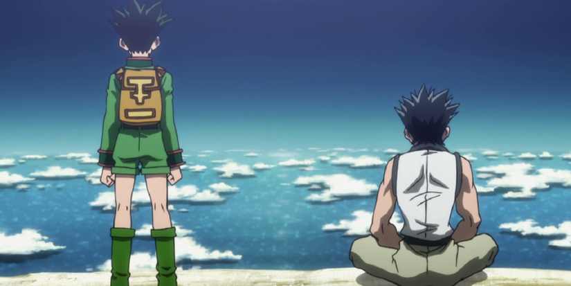 Hunter X Hunter - What Happens to Gon After the 13th Chairman Elections Arc?