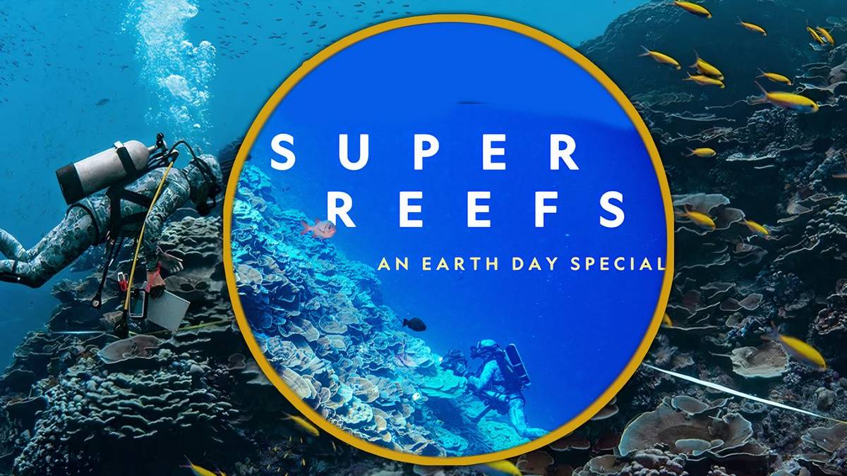 Hear Music From National Geographic’s Super Reefs With Behind-The ...