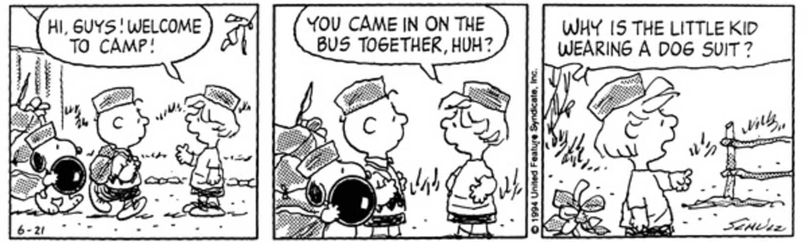10 Funniest Peanuts Comics That Just Turned 30 (In June 2024)