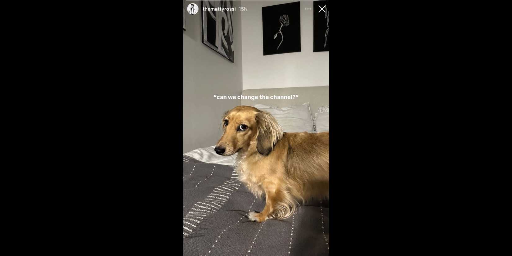 The Bachelorette Season 21: Who Is Jenn Tran’s Ex Matthew Rossi? (SPOILERS)