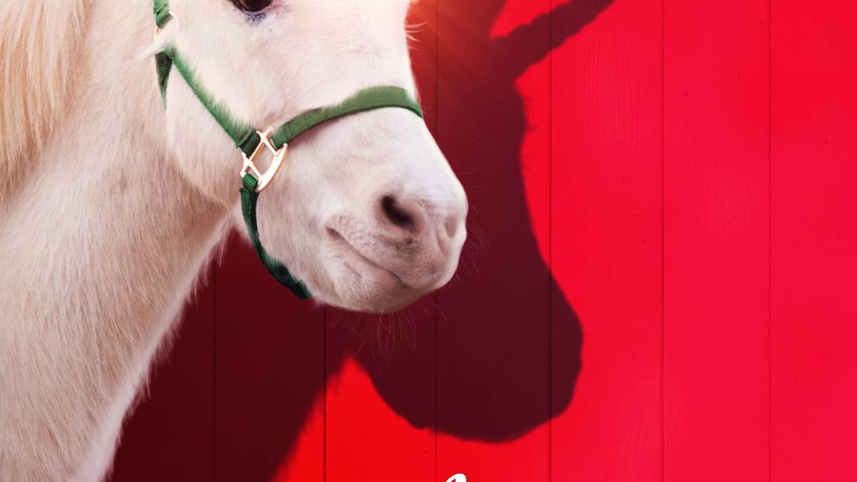 A Unicorn For Christmas Summary, Trailer, Cast, Where to Watch and More