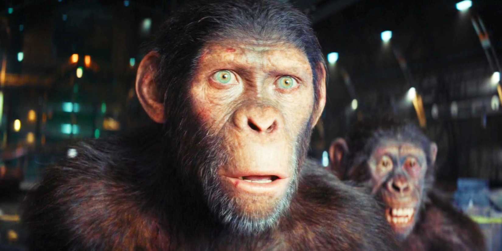 Kingdom Of The Planet Of The Apes Sequel: Cast, Story & Everything We Know
