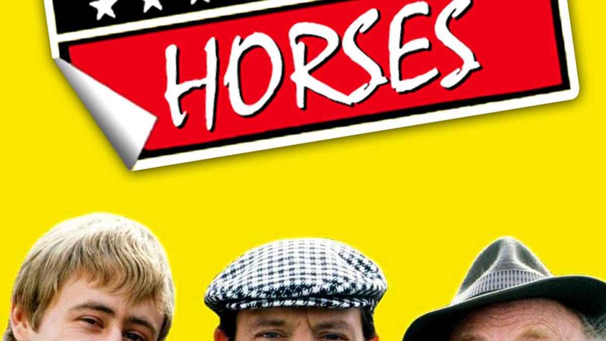 Only Fools and Horses (1981) Summary, Trailer, Season List, Cast, Where ...
