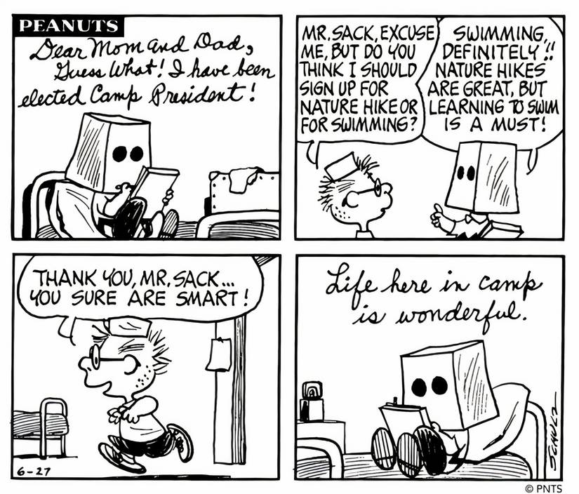 10 Funniest Peanuts Comics That Will Make You Nostalgic for Summer Camp