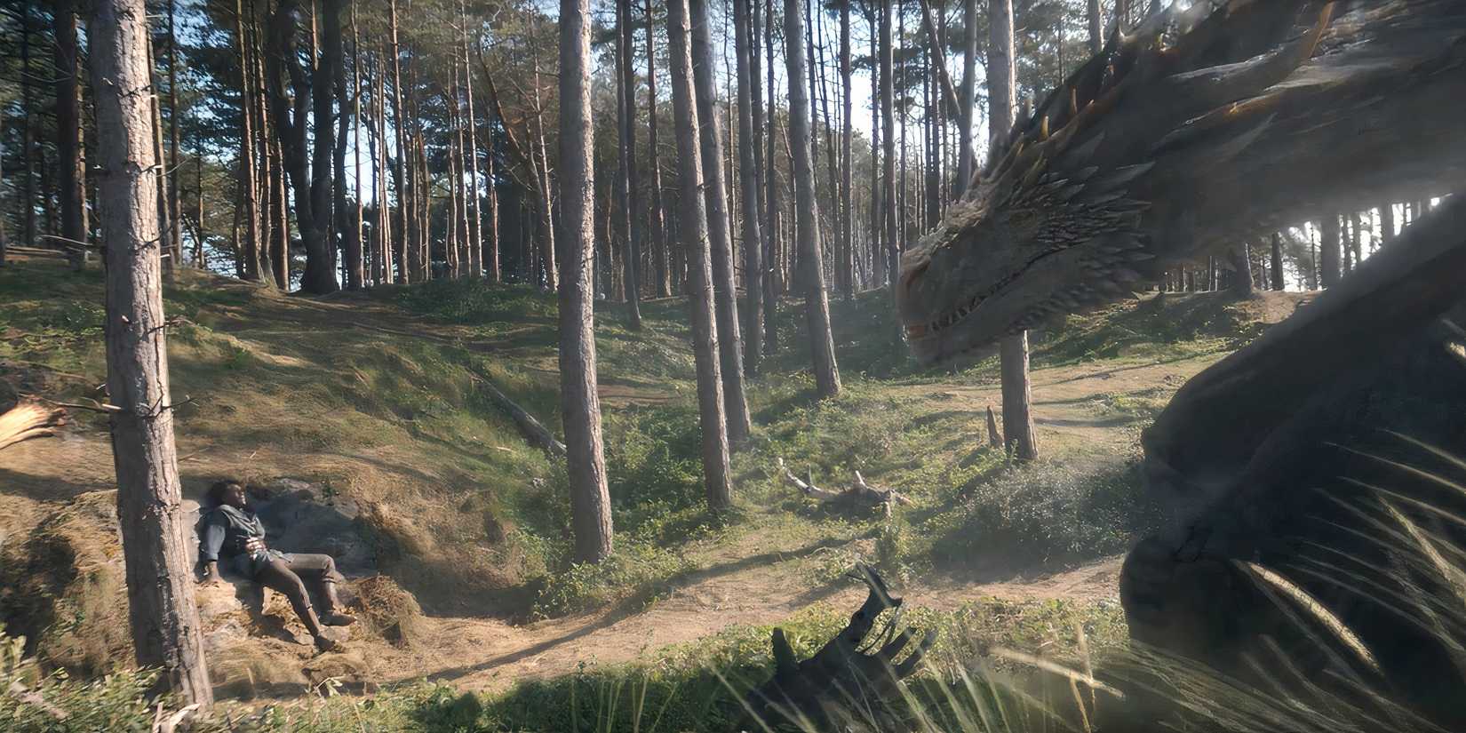 Alyn & Addam Of Hull In House Of The Dragon Season 2 & Future Explained
