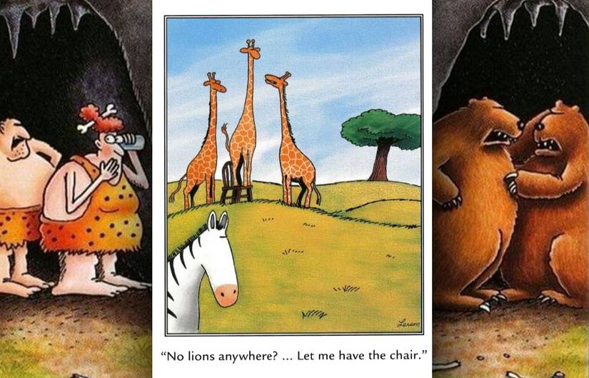 10 Funniest Far Side Comics That Just Turned 40 (In June 2024)