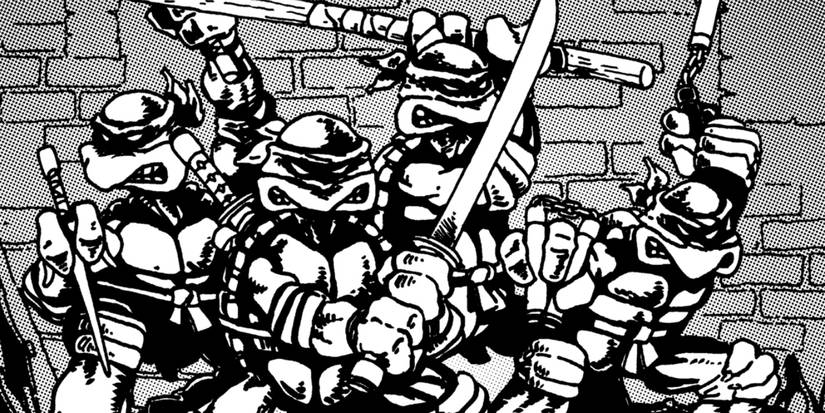 Sorry to Ruin Your Childhood, But the OG Teenage Mutant Ninja Turtles ...