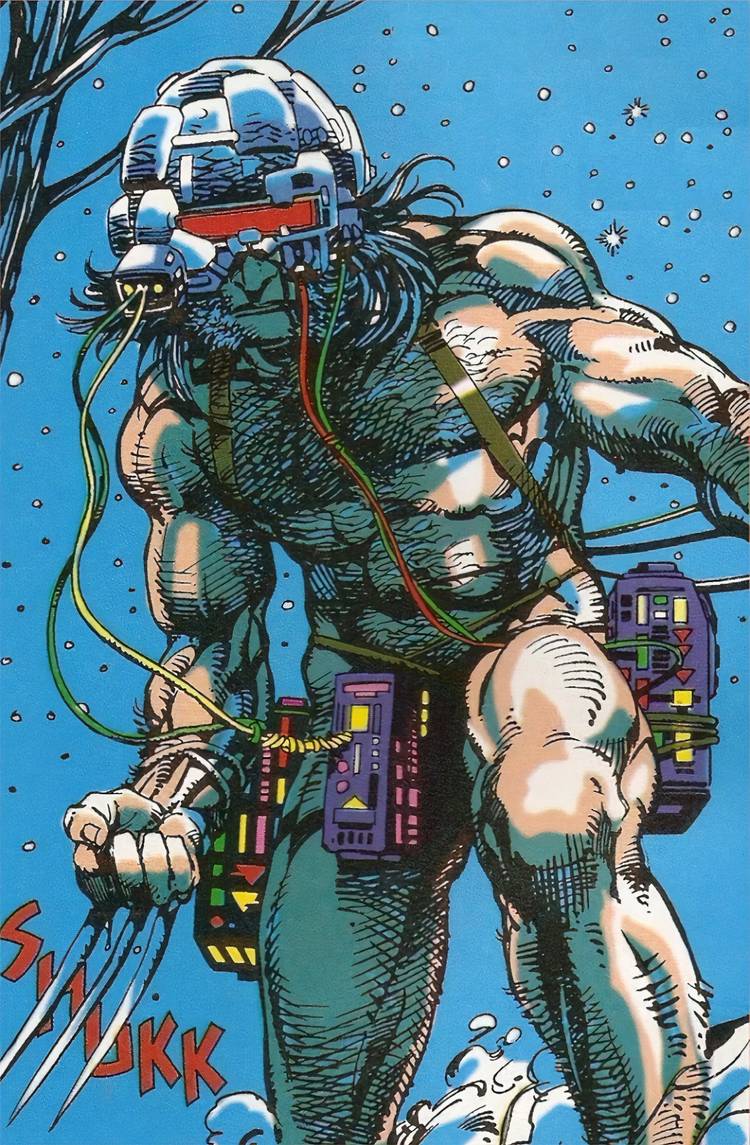 10 Best Wolverine Comics in History, Ranked