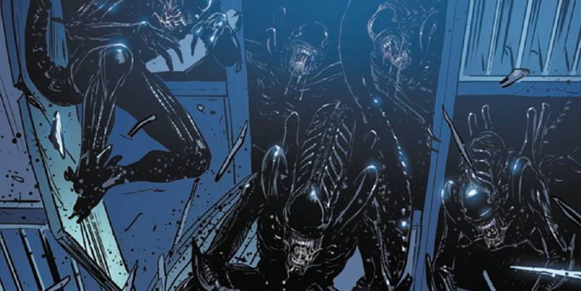 Alien's New Nickname for Xenomorphs Is the Opposite of "Perfect ...