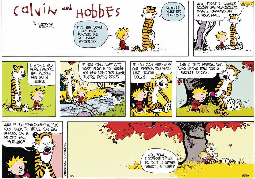 10 Most Heartwarming Calvin and Hobbes Comics About Friendship (and ...