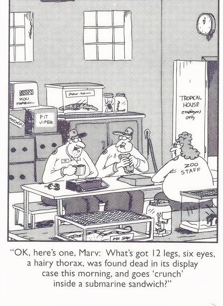 10 Hilarious Classic Comics That Just Turned 30 (Featuring Far Side ...