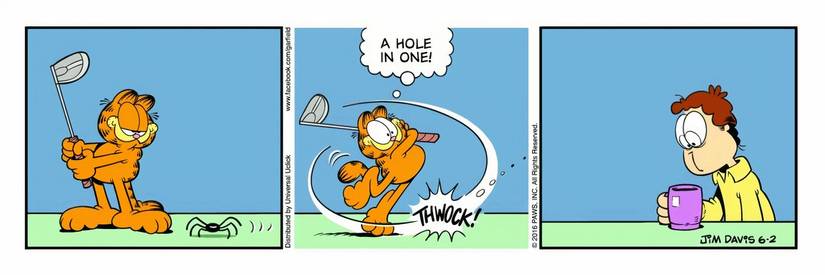 10 Funniest Garfield Comics About Golf