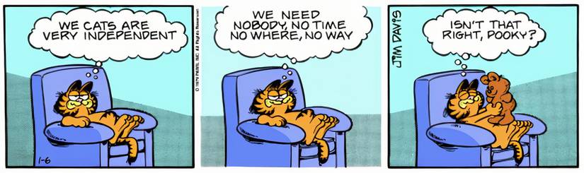 10 Greatest Garfield Comics Featuring Pooky the Teddy Bear