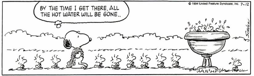 10 Funniest Peanuts Comics That Just Turned 30 (In July 2024)