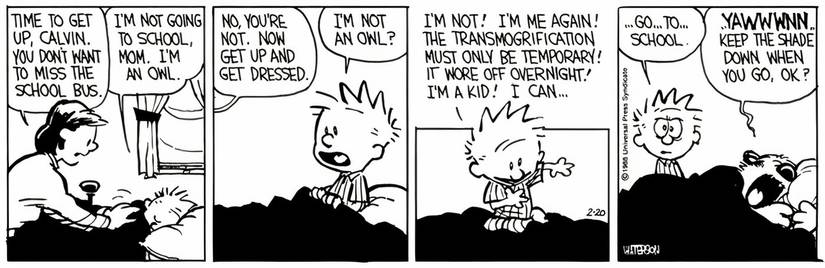 15 Best Calvin and Hobbes Strips About School (and Homework)