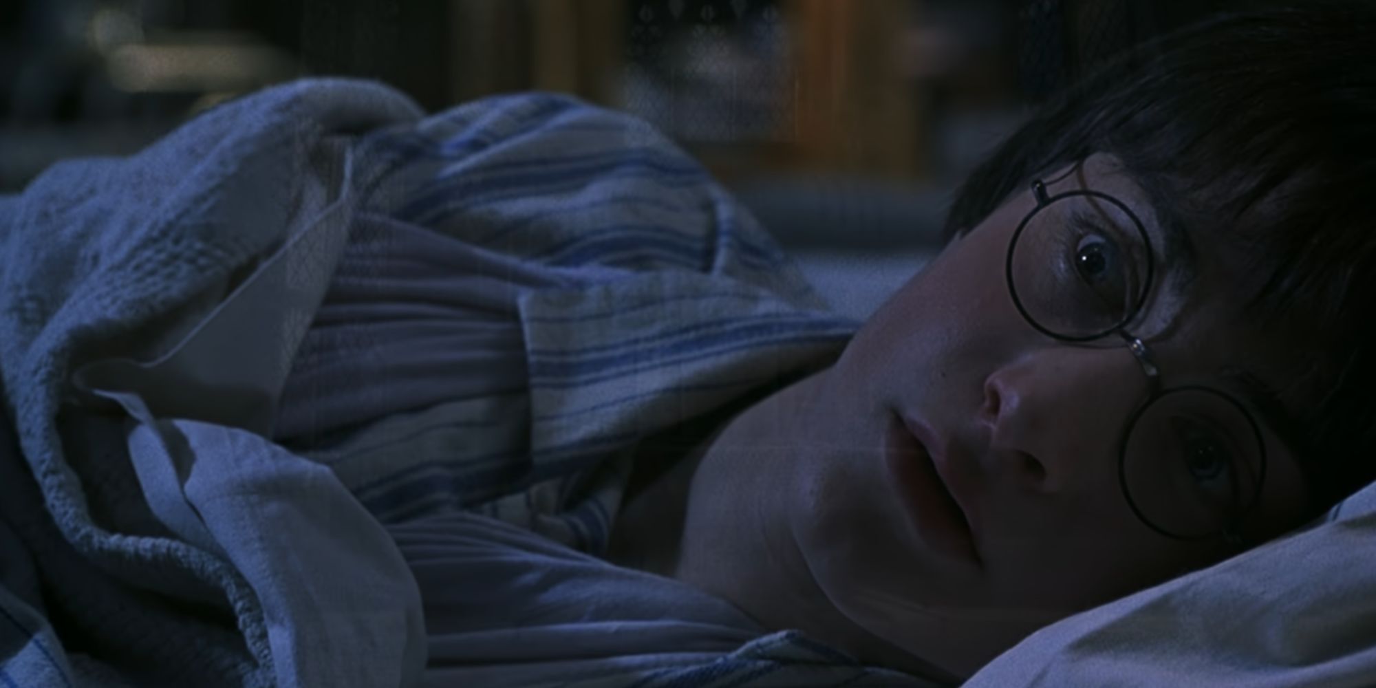 Daniel Radcliffe Harry Potter And The Chamber Of Secrets